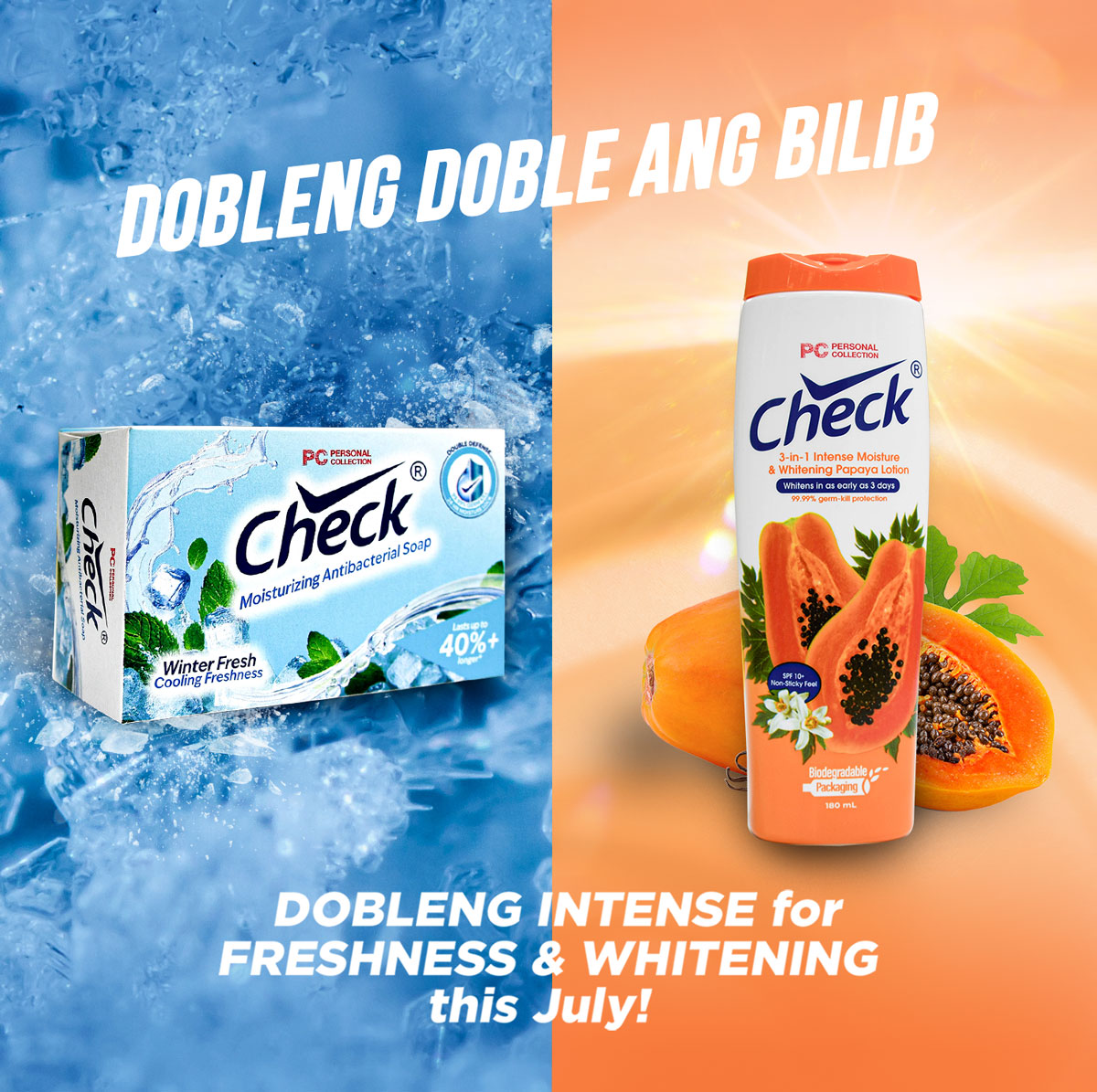 The Mission and Vision of Personal Collection: Paving the Way to a ...