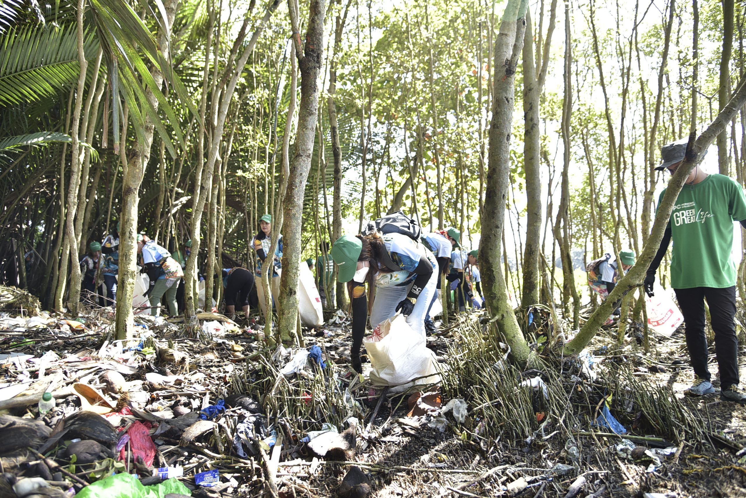 20 YEARS OF THE GREAT LIFE: Personal Collection’s award-winning ...