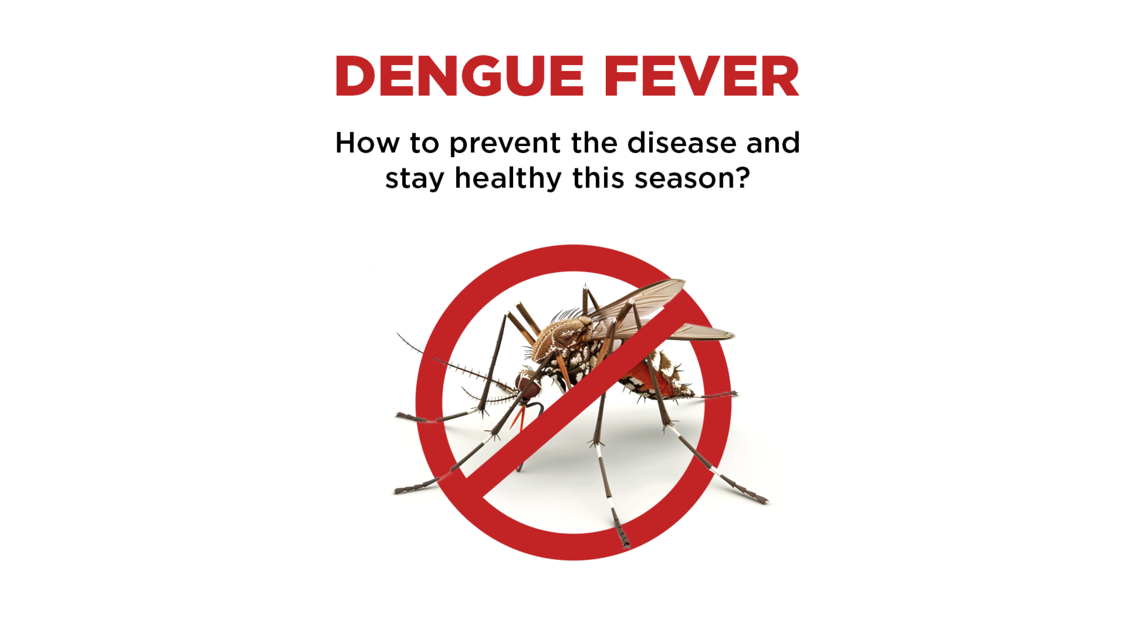 This Multi Insect Killer is Your Ultimate Defense Against Dengue ...