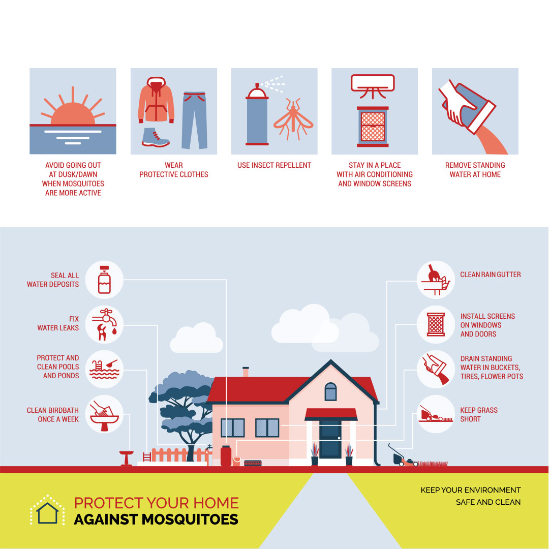 This Multi Insect Killer is Your Ultimate Defense Against Dengue ...